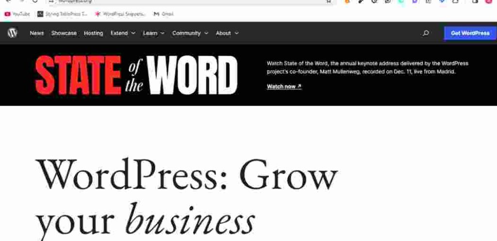 What Is WordPress? 2024 Detailed Answer | Anwar Mzee